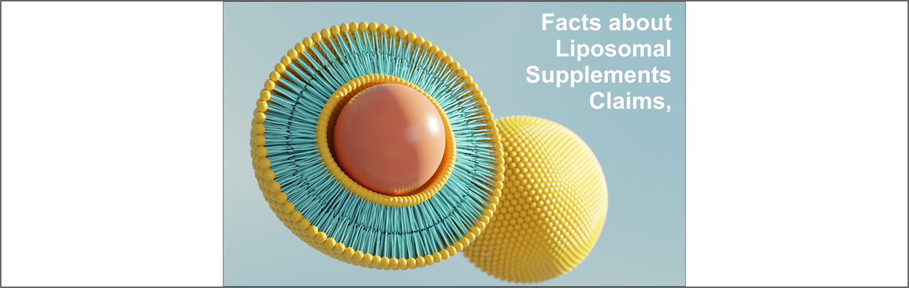 Liposomal Supplement Facts – The UltraHealth Store